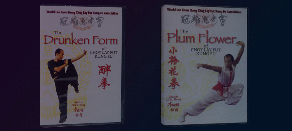 Choy Lay Fut Kung Fu