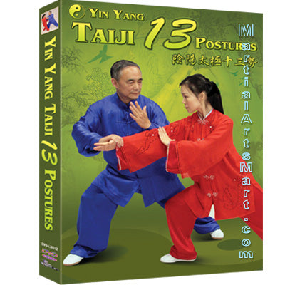Yin Yang Taiji 13 Postures